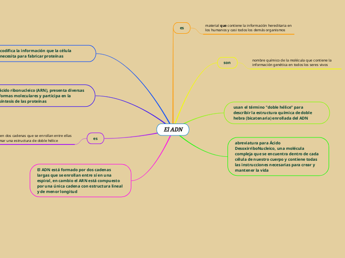 El ADN - Mind Map
